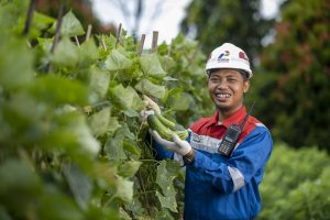 Jenis-jenis Gas Alam dan Manfaatnya Bagi Beragam Industri